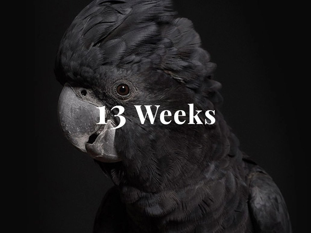 Newsletter September 2019 - Banter Group