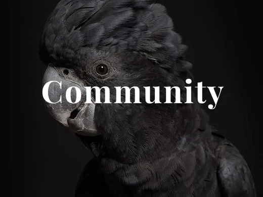 Newsletter January 2020 - Banter Group